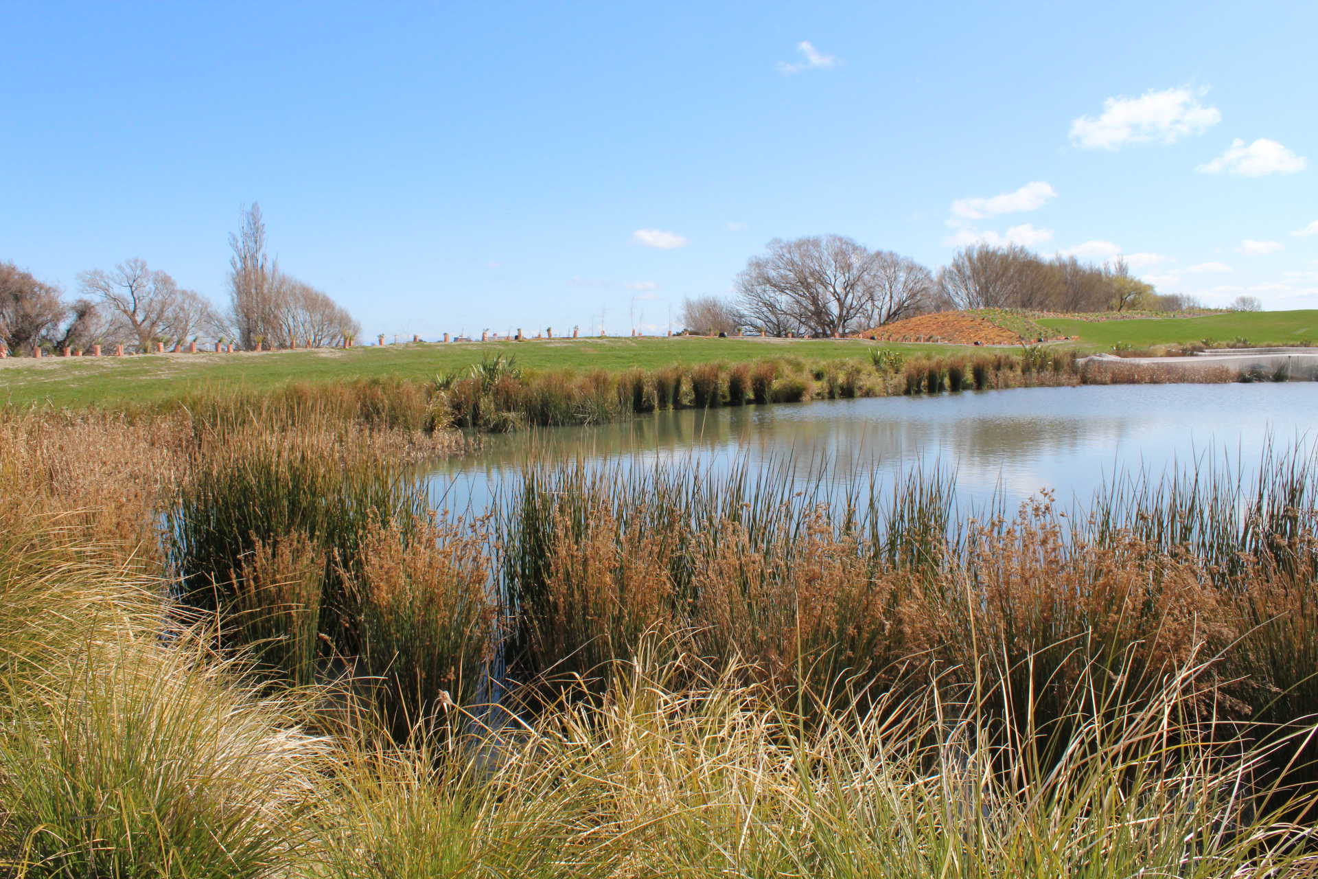 Streams, waterways and ponds | Design Works Group